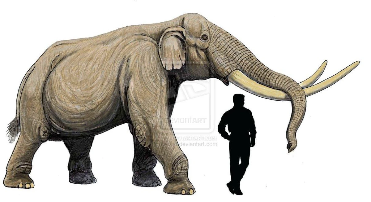 Stegodon | Prehistoria Fandom | Fandom