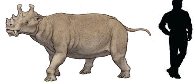 Uintatherium | Prehistoria Fandom | Fandom