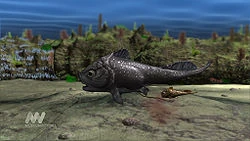 Materpiscis | Prehistoria Fandom | Fandom