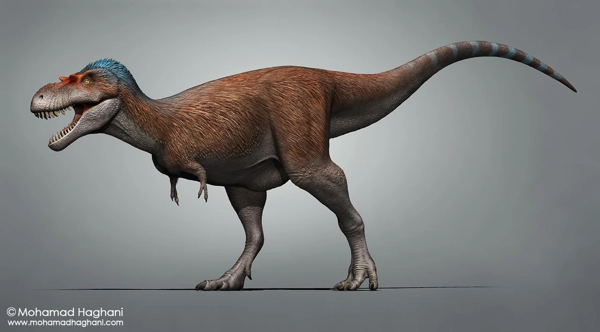 Albertosaurus | Prehistoria Fandom | Fandom