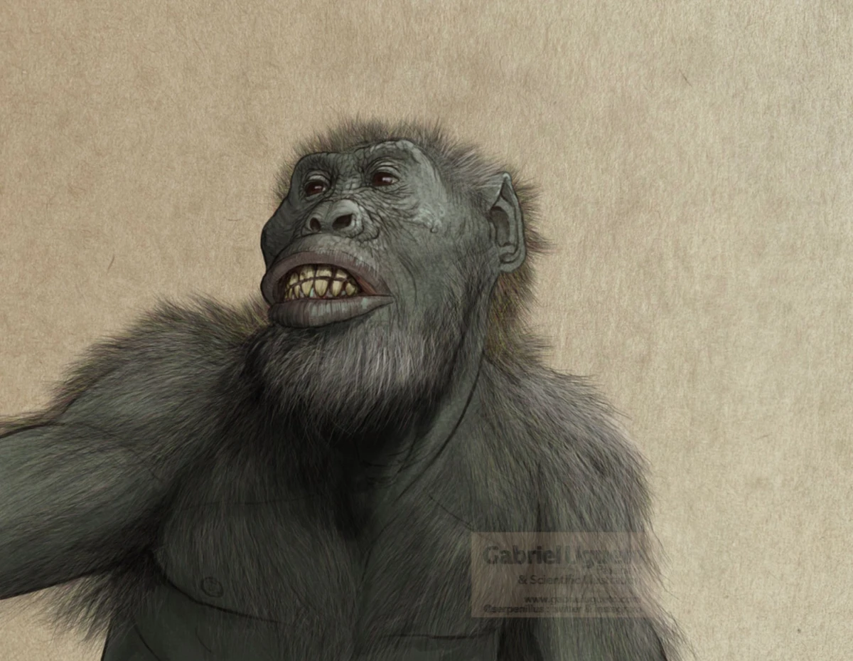 Australopithecus | Prehistoria Fandom | Fandom