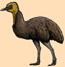 Diogenornis | Prehistoria Fandom | Fandom