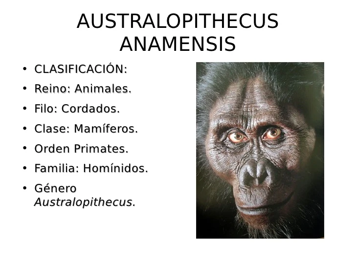 Australopithecus anamensis | Prehistoria Fandom | Fandom