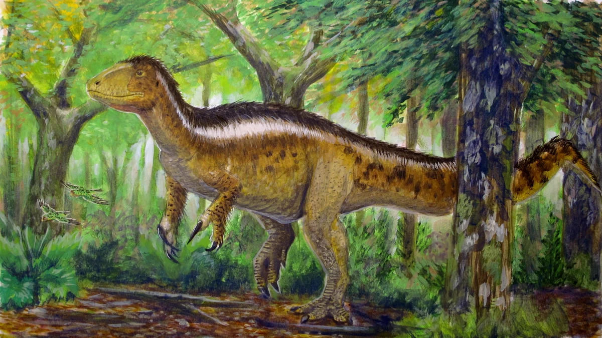 Maip | Prehistoria Fandom | Fandom