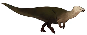 Jintasaurus | Prehistoria Fandom | Fandom