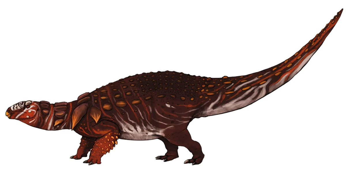 Edmontonia | Prehistoria Fandom | Fandom