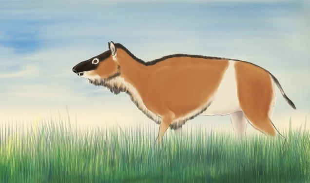 Diadiaphorus | Prehistoria Fandom | Fandom