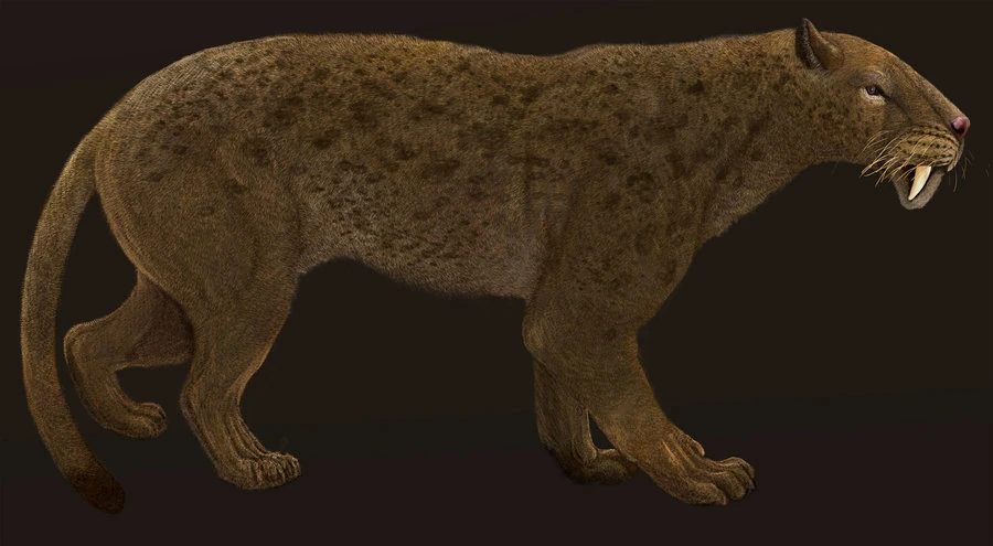 Hoplophoneus | Prehistoria Fandom | Fandom