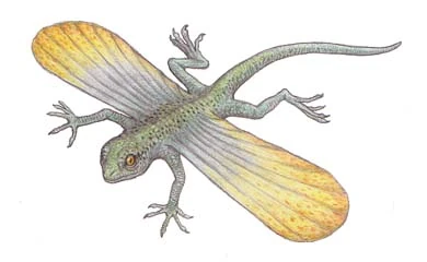 Icarosaurus | Prehistoria Fandom | Fandom