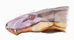 Cyonosaurus | Prehistoria Fandom | Fandom