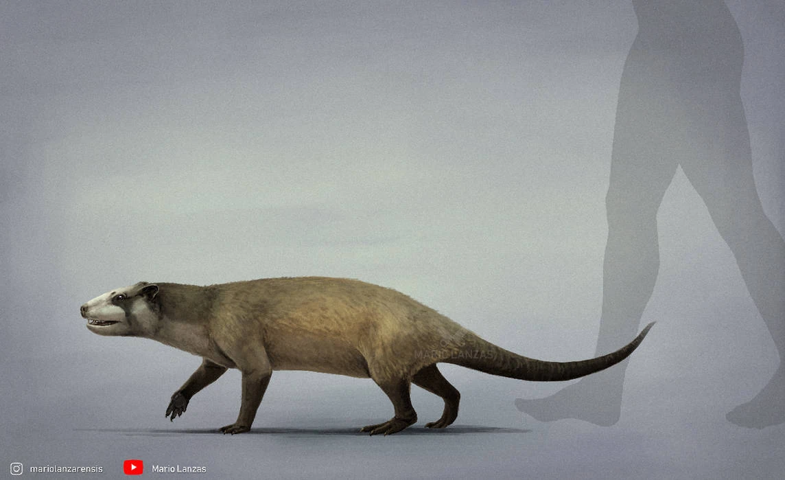 Categoría:Mamíferos extintos de Canadá | Prehistoria Fandom | Fandom