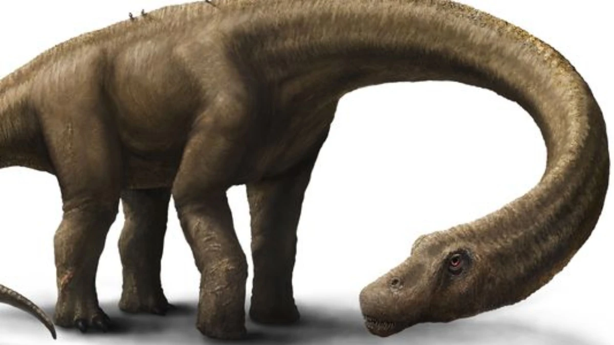Dreadnoughtus | Prehistoria Fandom | Fandom