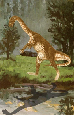 Ammosaurus | Prehistoria Fandom | Fandom