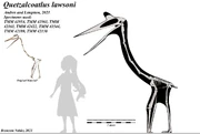 Quetzalcoatlus | Prehistoria Fandom | Fandom