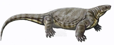 Angelosaurus | Prehistoria Fandom | Fandom