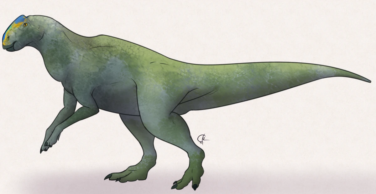 Jaxartosaurus | Prehistoria Fandom | Fandom