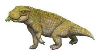 Simosuchus | Prehistoria Fandom | Fandom