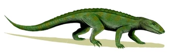 Notosuchus | Prehistoria Fandom | Fandom