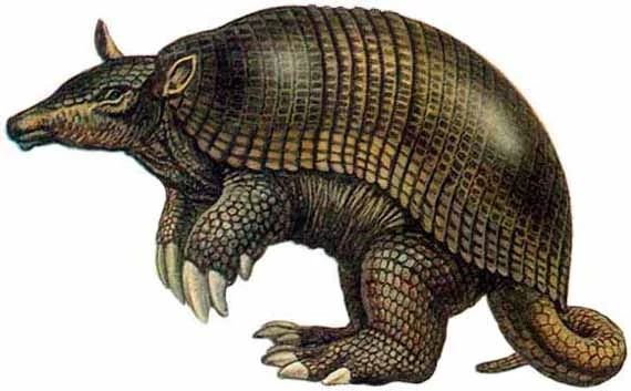 Pampatherium | Prehistoria Fandom | Fandom