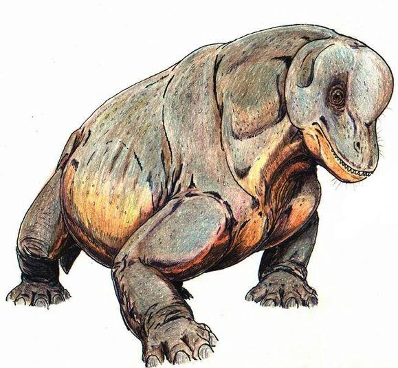 Tapinocephalus | Prehistoria Fandom | Fandom