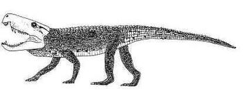 Bretesuchus | Prehistoria Fandom | Fandom