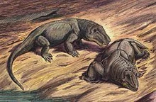 Doliosauriscus | Prehistoria Fandom | Fandom