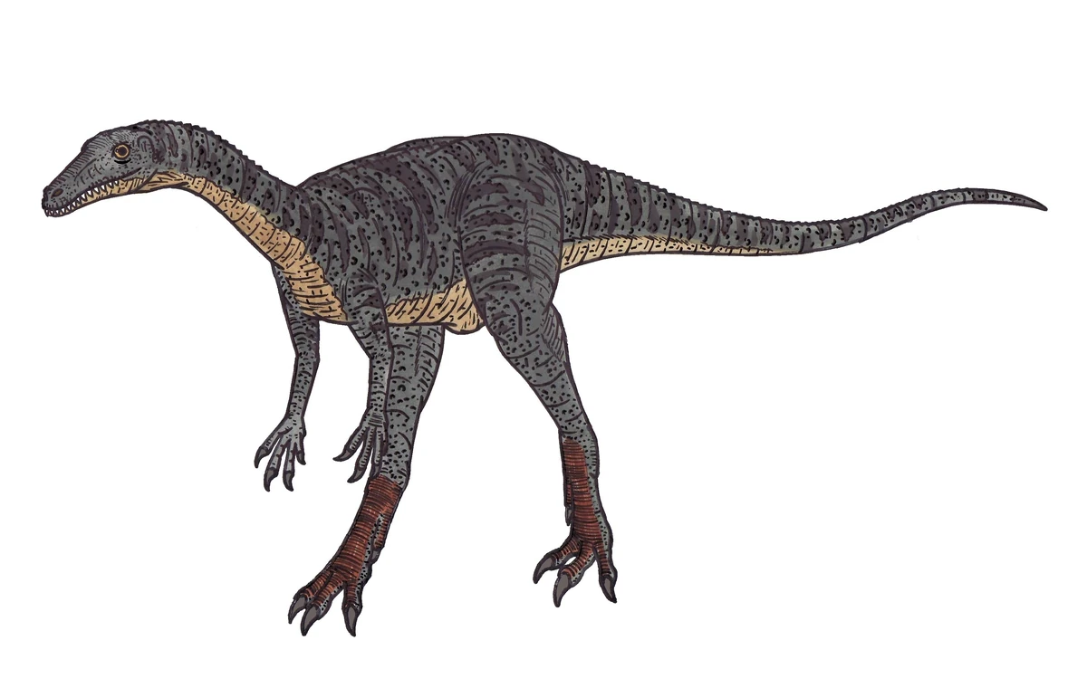 Saltopus | Prehistoria Fandom | Fandom