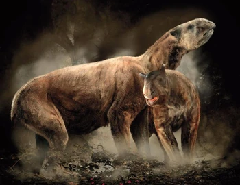 Chasicotherium | Prehistoria Fandom | Fandom