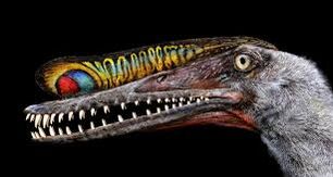 Hamipterus | Prehistoria Fandom | Fandom