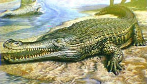 Phosphatosaurus | Prehistoria Fandom | Fandom