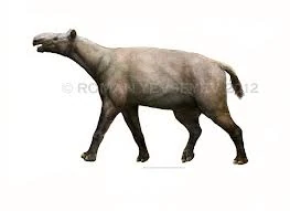 Juxia | Prehistoria Fandom | Fandom