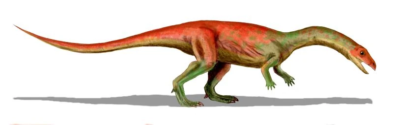 Effigia | Prehistoria Fandom | Fandom