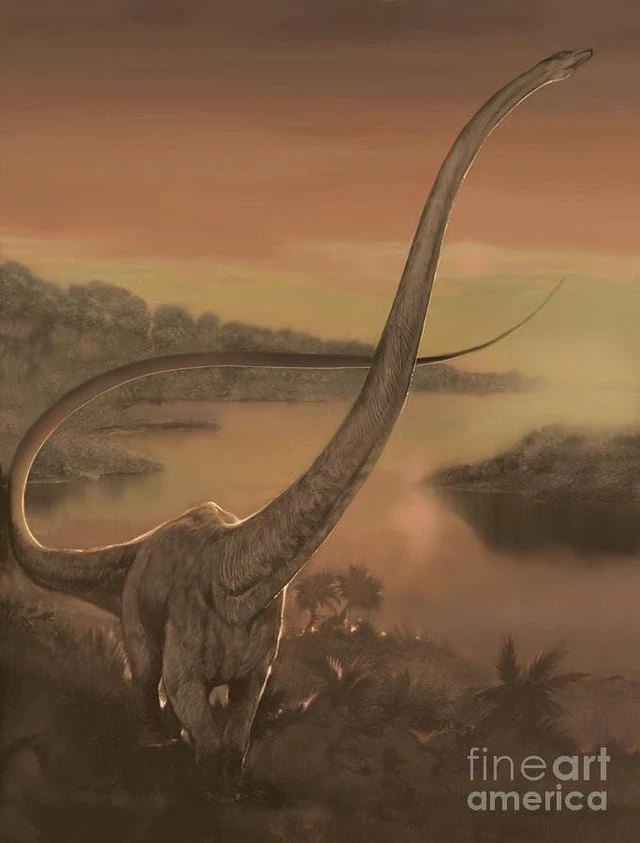Barosaurus | Prehistoria Fandom | Fandom