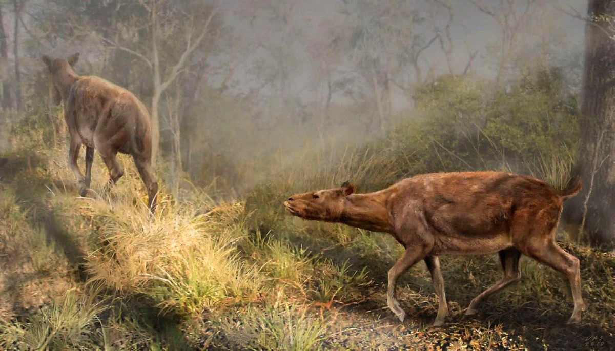 Megadolodus | Prehistoria Fandom | Fandom