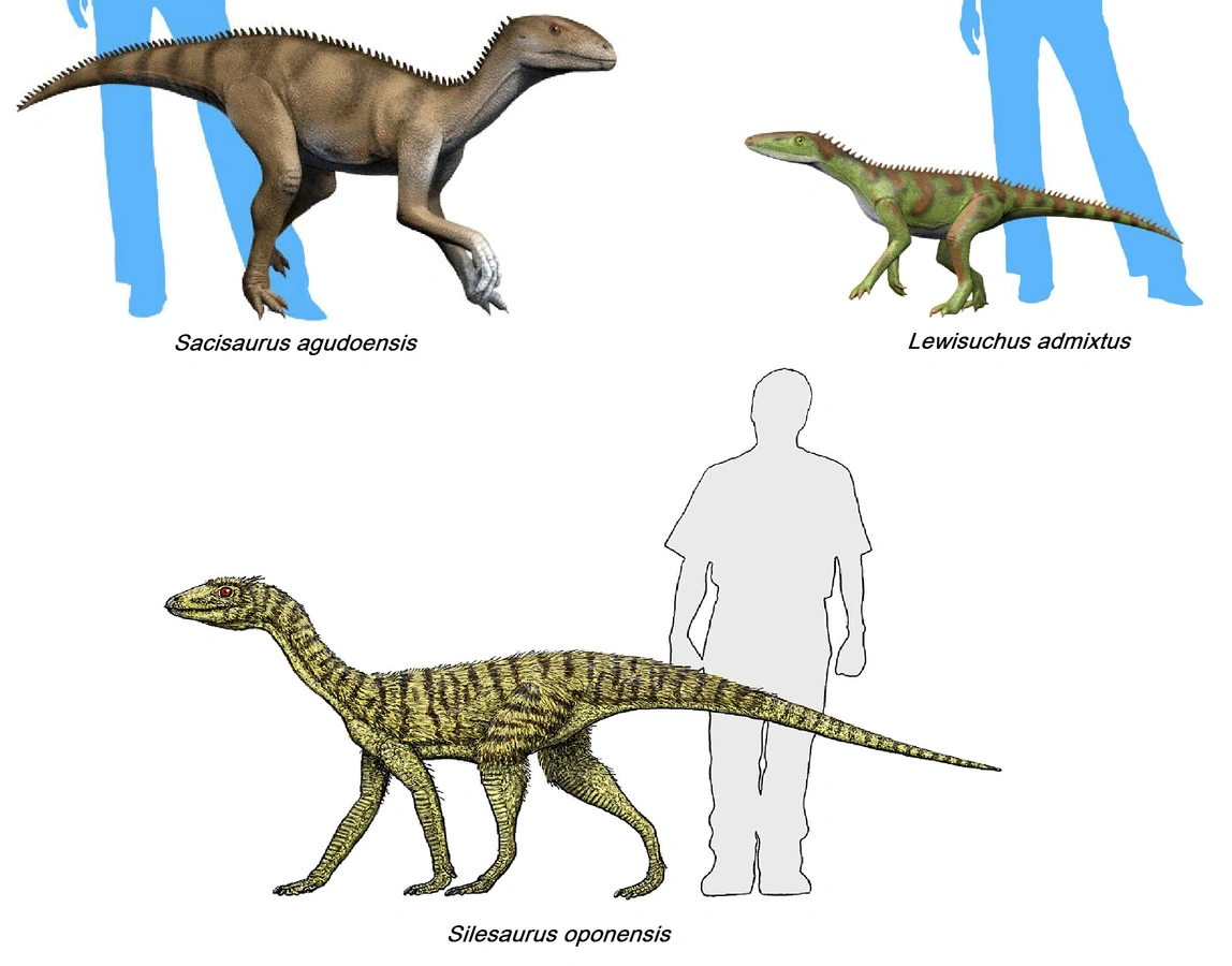 Silesauridae | Prehistoria Fandom | Fandom