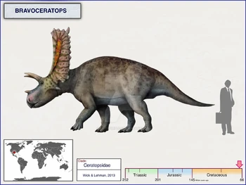 Bravoceratops | Prehistoria Fandom | Fandom