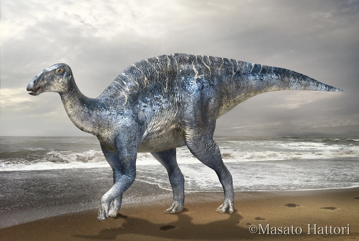 Kamuysaurus | Prehistoria Fandom | Fandom