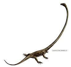 Tanystropheus | Prehistoria Fandom | Fandom
