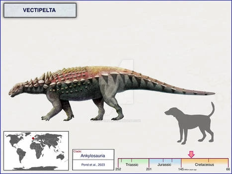 Vectipelta | Prehistoria Fandom | Fandom