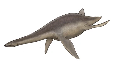 Hydrorion | Prehistoria Fandom | Fandom