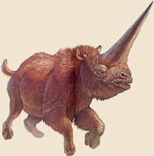 Sinotherium | Prehistoria Fandom | Fandom