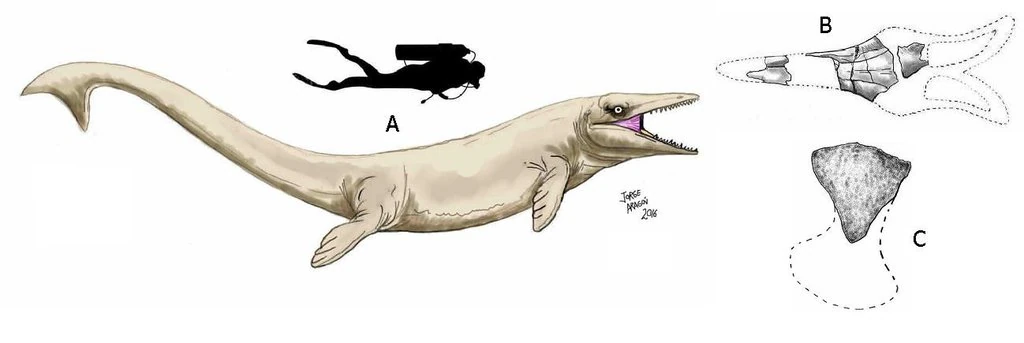 Kaikaifilu | Prehistoria Fandom | Fandom