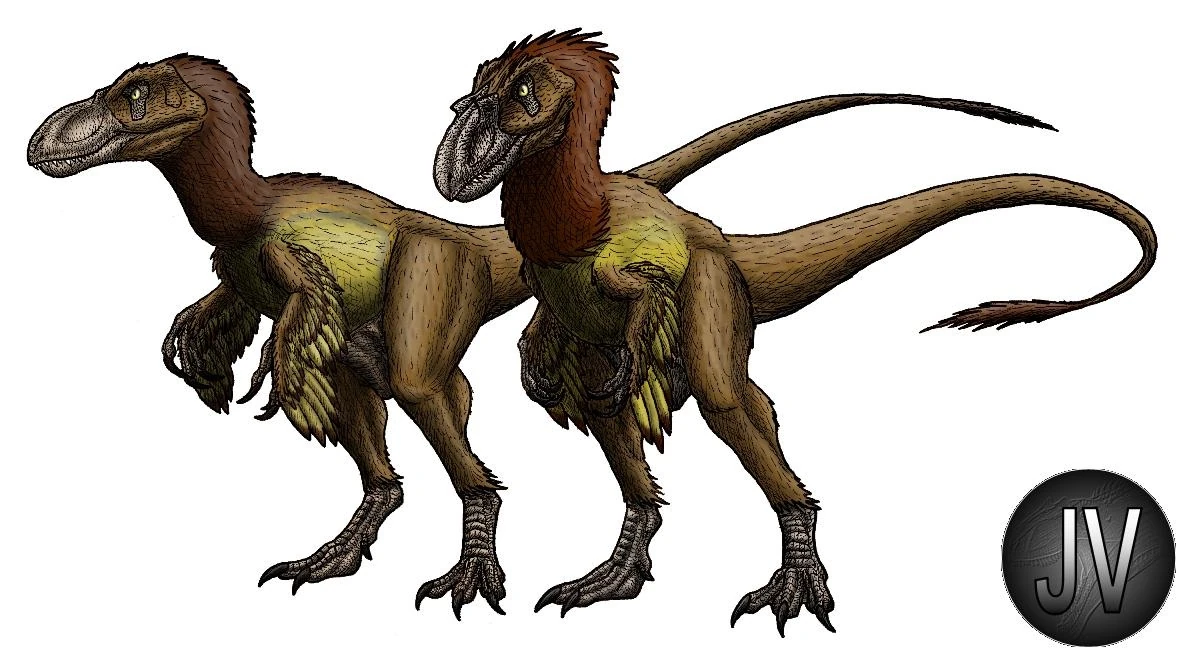 Santanaraptor | Prehistoria Fandom | Fandom