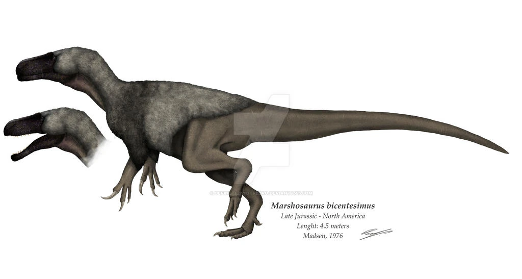Marshosaurus | Prehistoria Fandom | Fandom