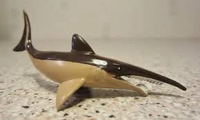 Eugeneodontiformes | Prehistoria Fandom | Fandom