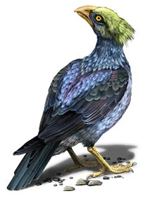 Nanantius | Prehistoria Fandom | Fandom