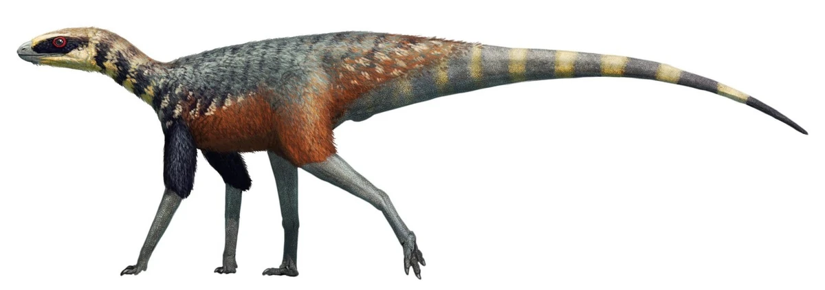 Ignotosaurus | Prehistoria Fandom | Fandom