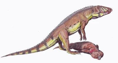 Ornithosuchus | Prehistoria Fandom | Fandom