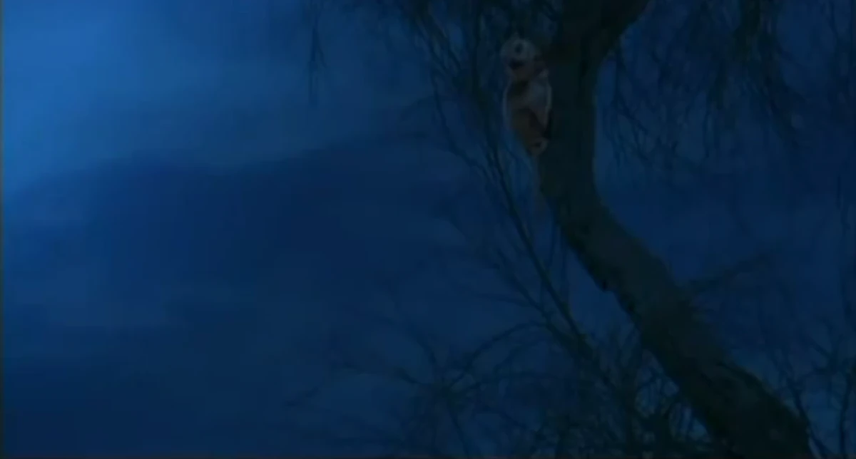 Deltatheridium | Prehistoria Fandom | Fandom