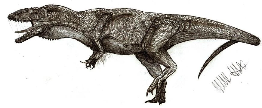 Kelmayisaurus | Prehistoria Fandom | Fandom